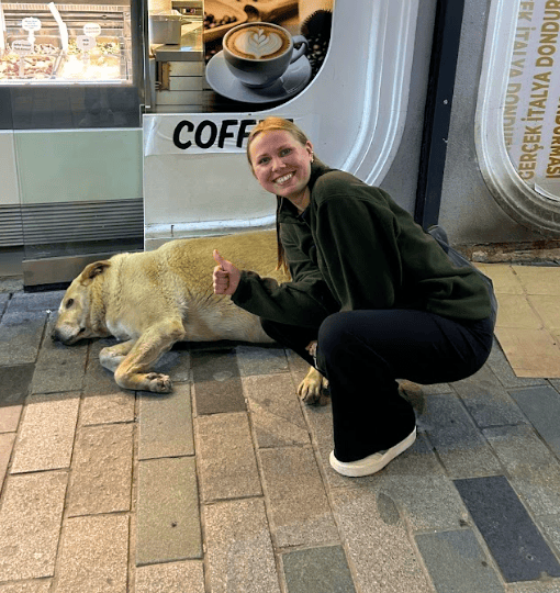 Temui Boulder: Ikon Wisata Tak Terduga di Istanbul