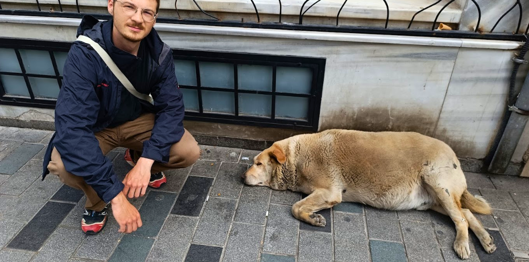 Meet the Boulder: Istanbul’s Unexpected Tourist Icon